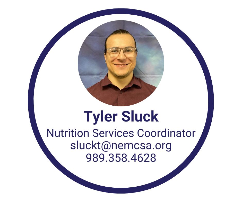Region 9 AAA Staff : NEMCSA